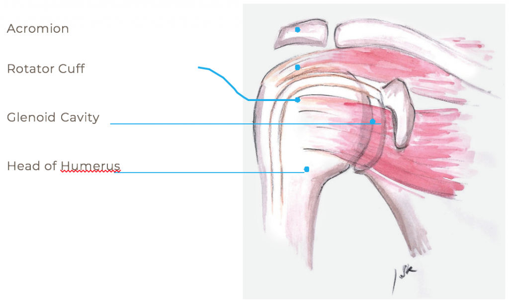 Praxis Leonardo - Ärzte für Orthopädie und Traumatologie