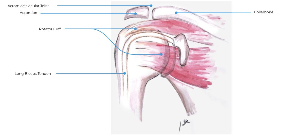 Praxis Leonardo - Ärzte für Orthopädie und Traumatologie